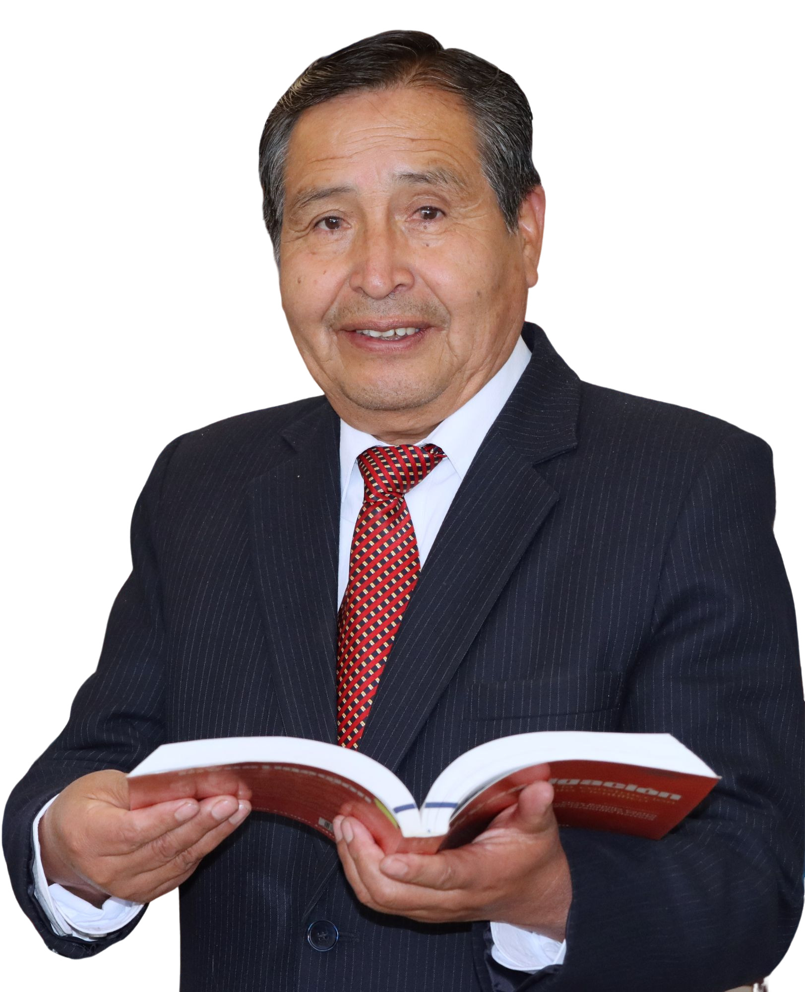 Docentes RENACYT – Investigación